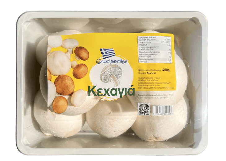 Ελληνικά Agaricus - Μανιτάρια Κεχαγιά